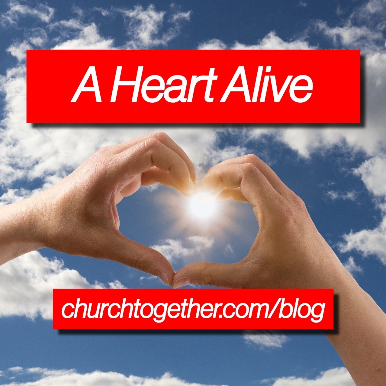 A Heart Alive | Church Together
