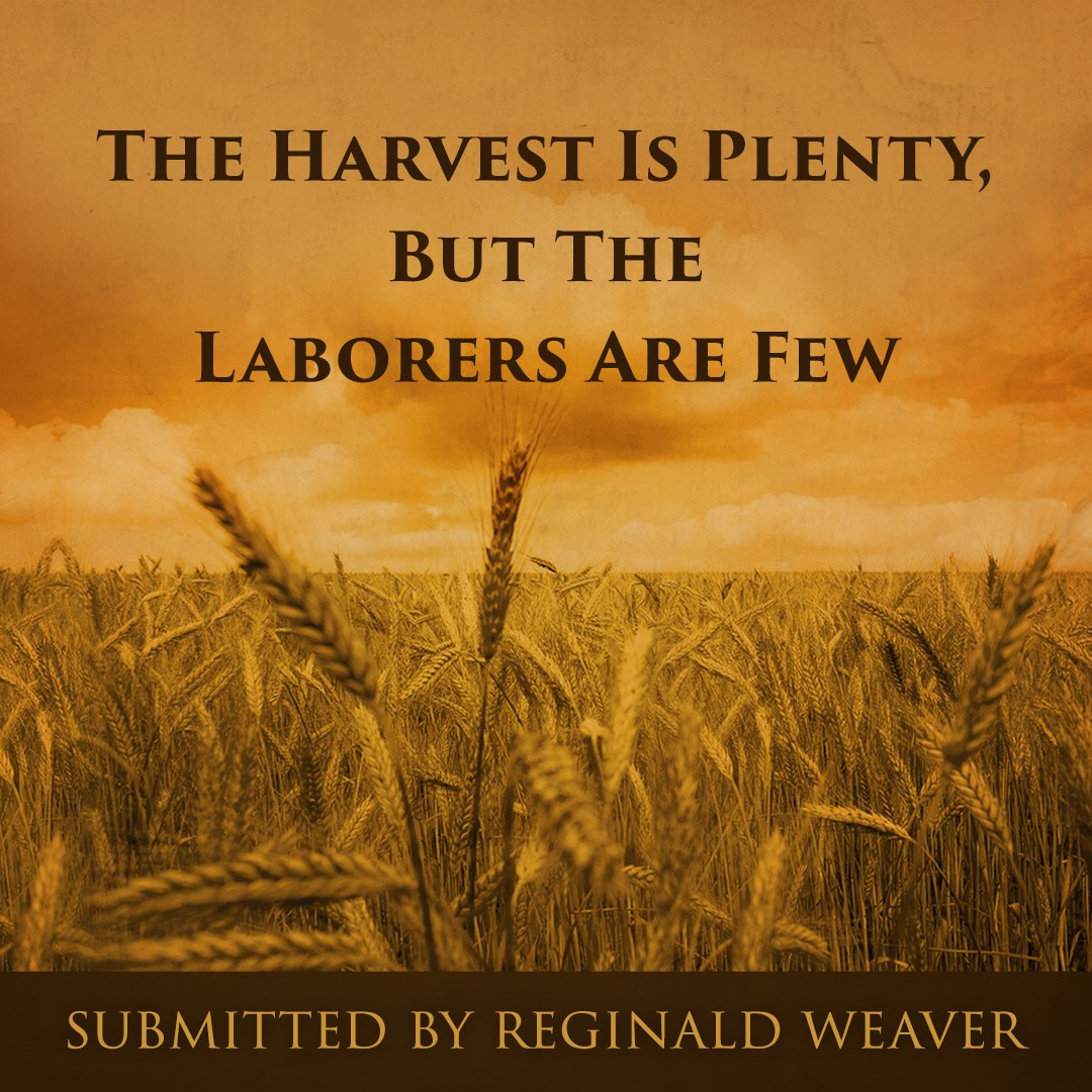 The Harvest Is Plenty, But The Laborers Are Few | Apostolic Church of God