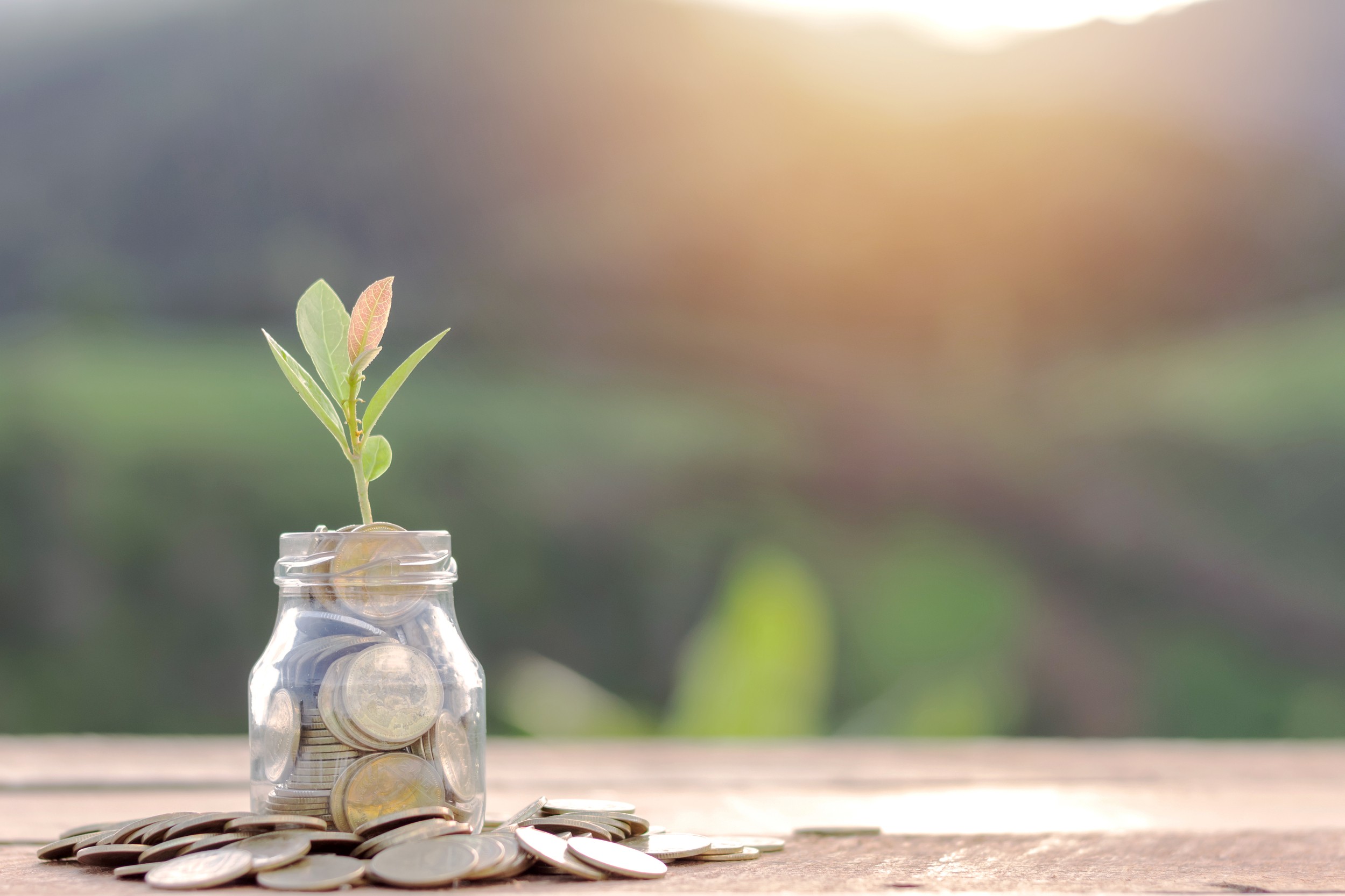 Thrive Thought: Eyes—Insight into the Body | Pathway Community Church