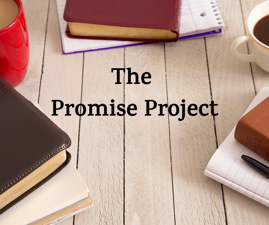 The Promise Project | Christ Our Savior Lutheran Church - Michigan - 48154