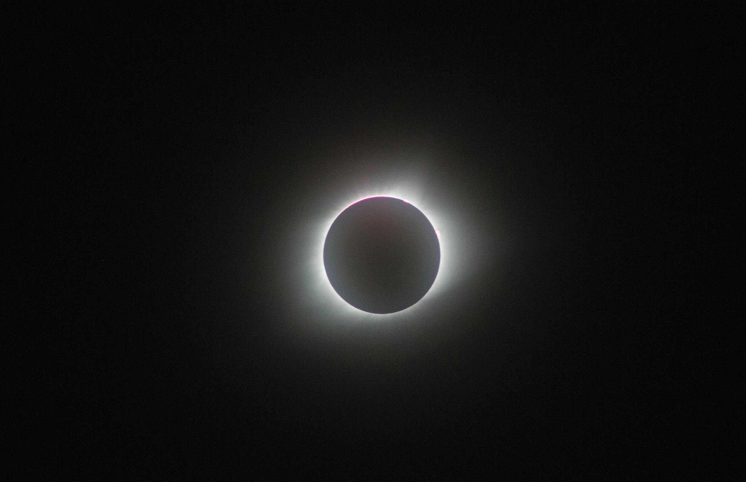 The Nation, an Eclipse & the Sign of Jonah | Ark of Grace Ministries