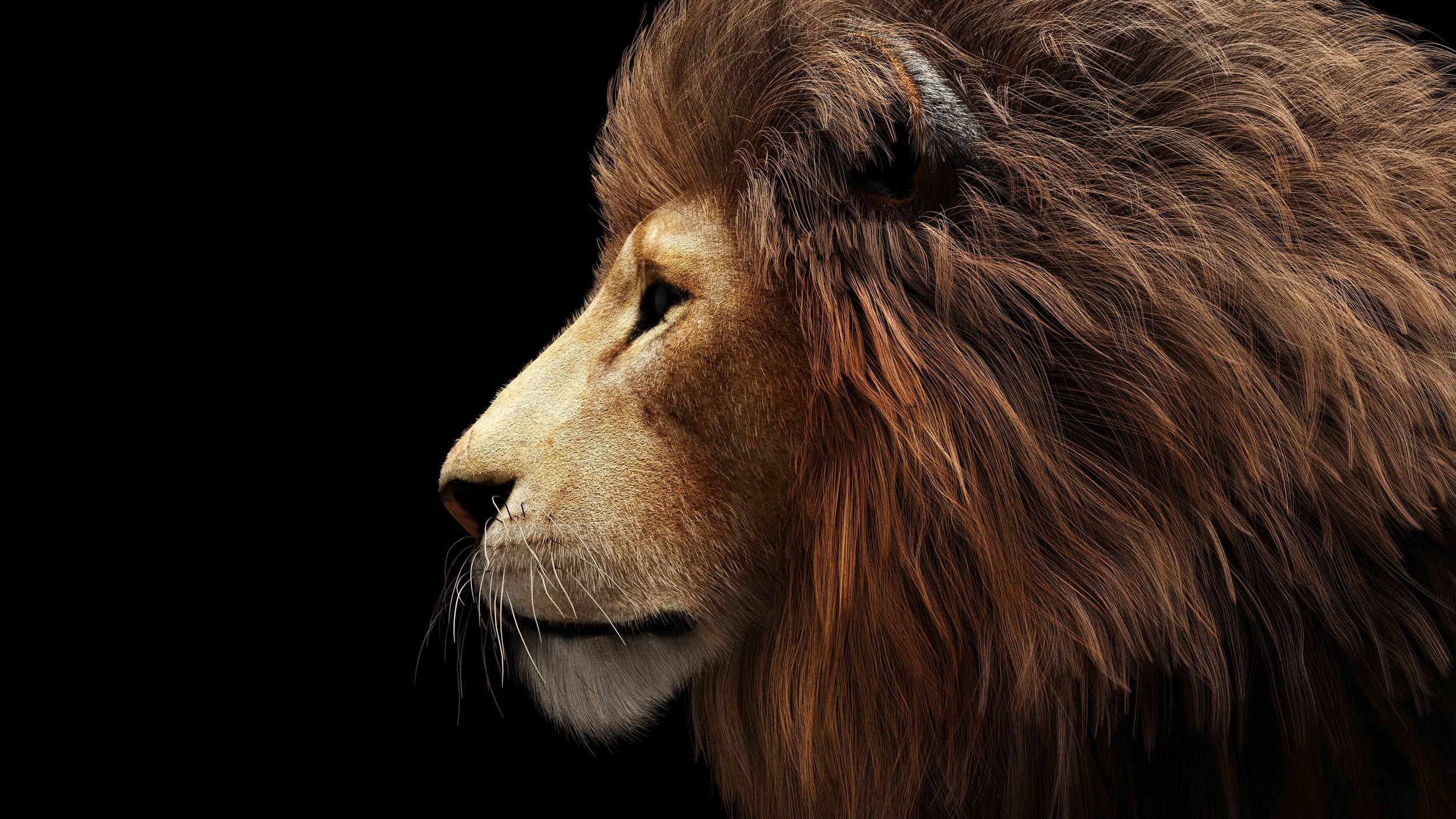 Loose the Lion | Reasons for Hope
