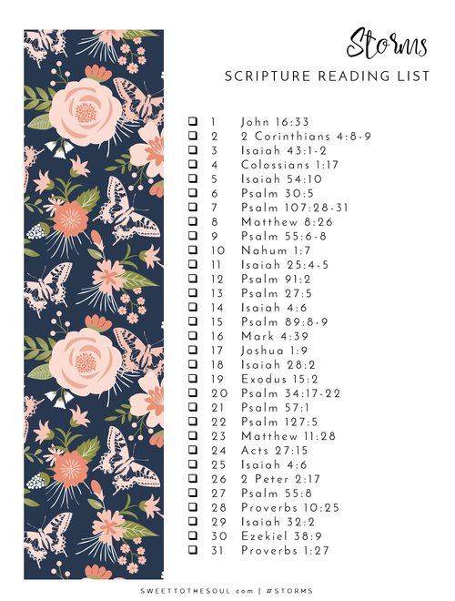 Sweet To The Soul Ministries - Scripture Reading Lists