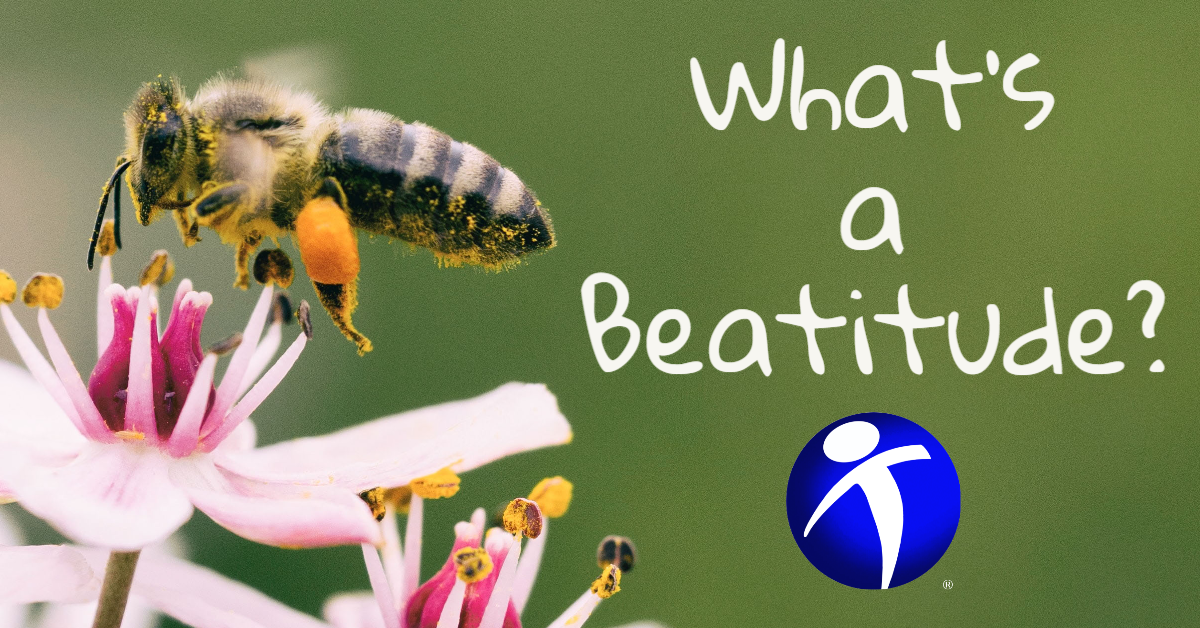 What's a Beatitude? | Truth For The World