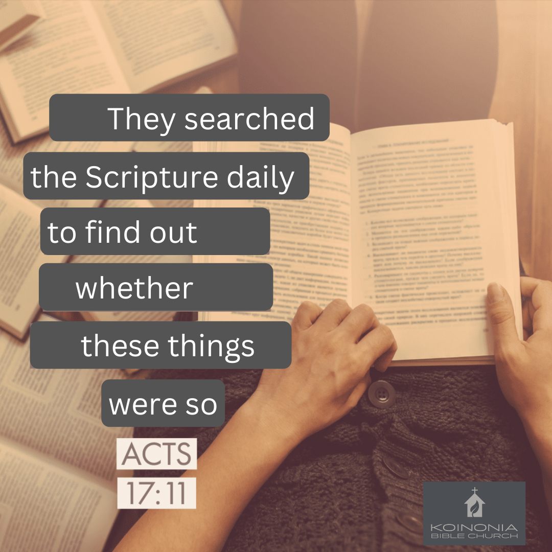 The Noble-minded Berean | Koinonia Calvary Chapel | Indian Land, SC