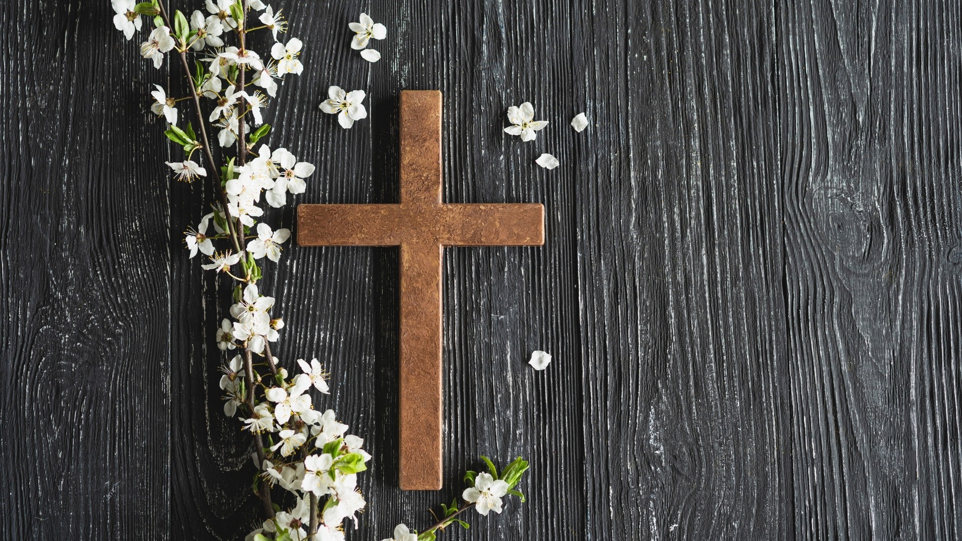 This Is What Jesus Overcame | The Mountain Church