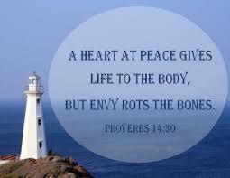 Envy rots the bones | NewLife Christian Fellowship
