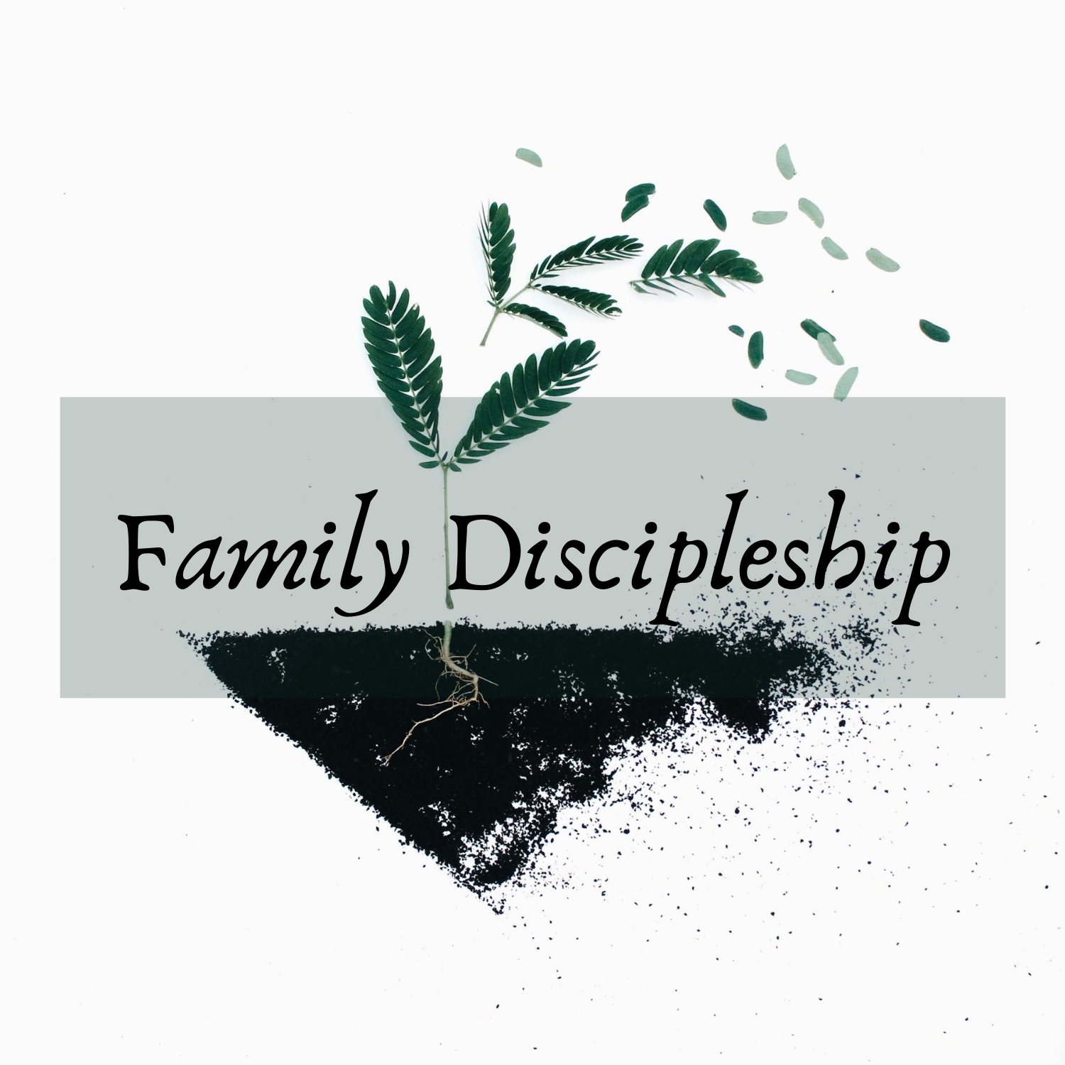 Old Testament Roots for Family Discipleship | Broadway Baptist Church