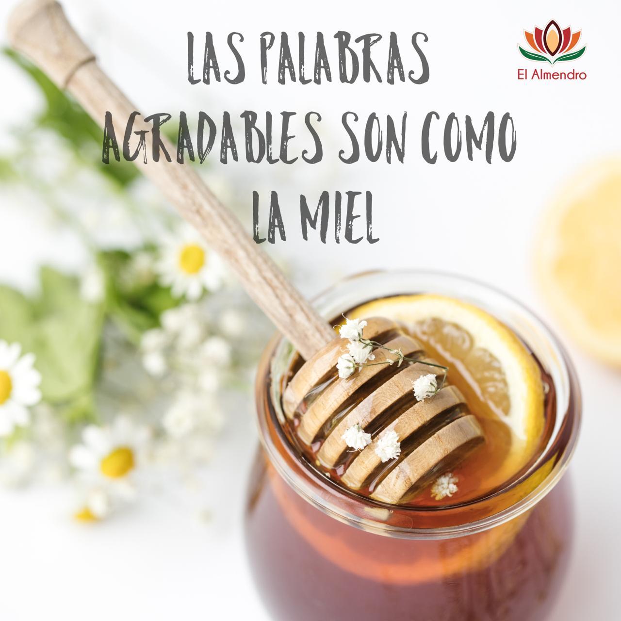 LAS PALABRAS AGRADABLES | Almendro