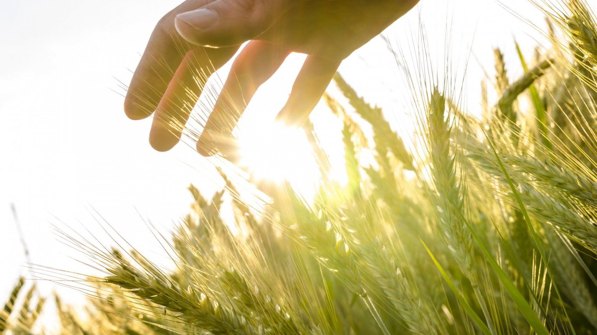 The Path To Fruitfulness and Prosperity | Renewal Christian Center