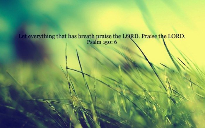 Take Some Time to Praise God | Renewal Christian Center
