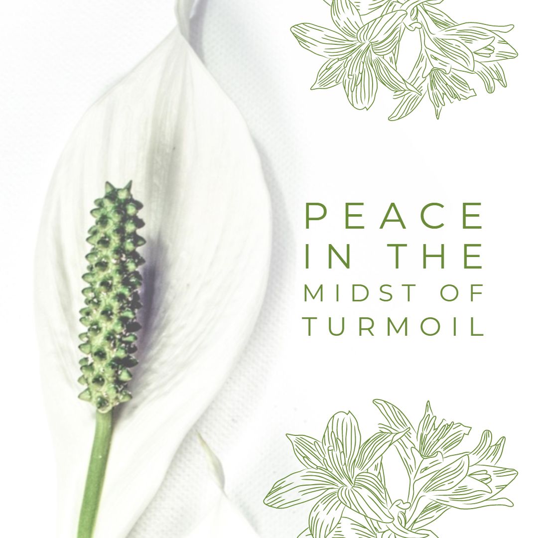 Peace in the Midst of Turmoil | Genesis Bible Fellowship Church