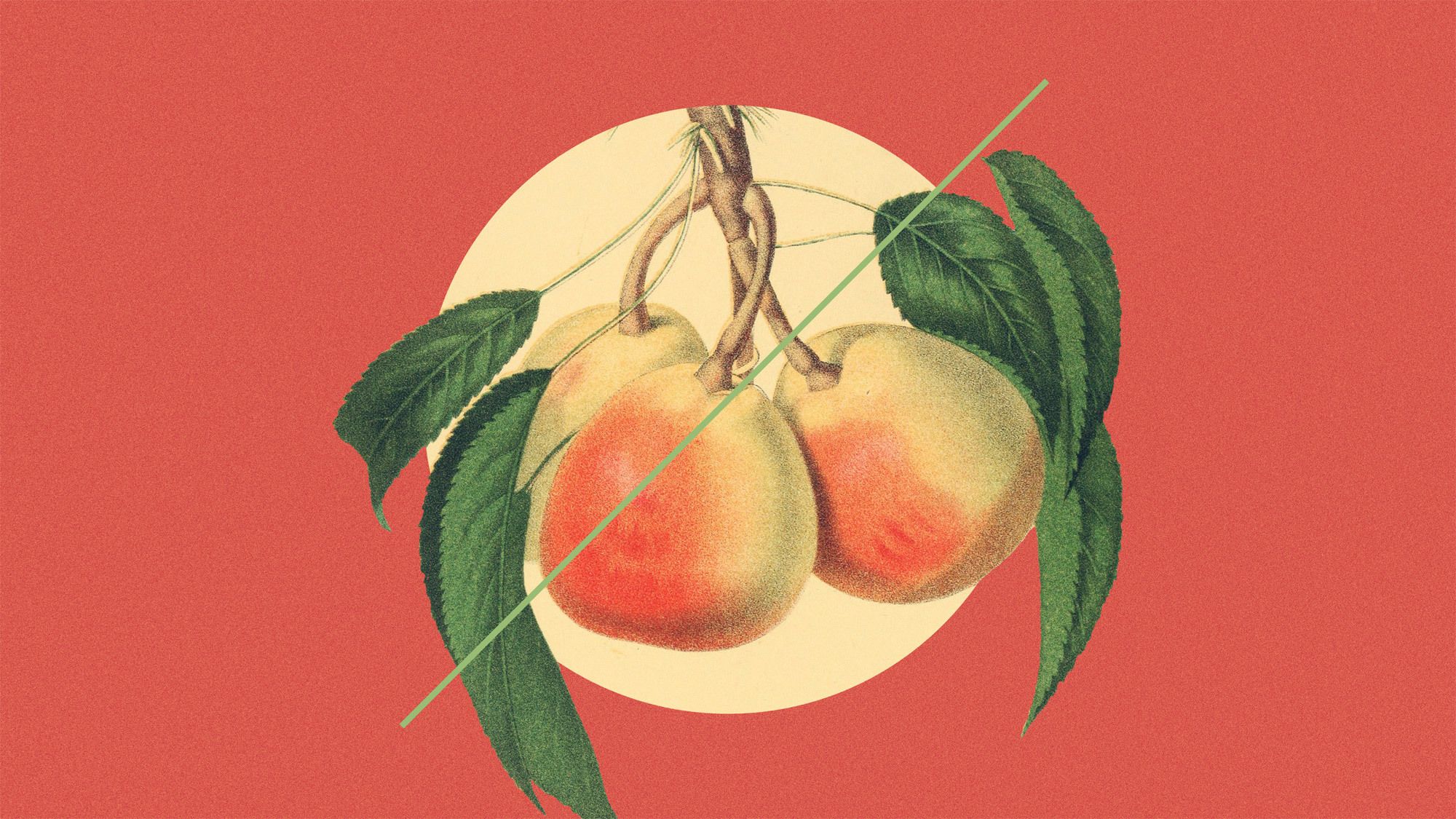 Pettiness is Not a Fruit of the Spirit | Genesis Bible Fellowship Church