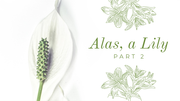 Alas, a Lily (Part 2) | Genesis Bible Fellowship Church