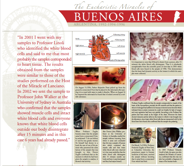 Eucharistic Miracles of Buenos Aires Argentina, 1992-1994-1996 | St ...