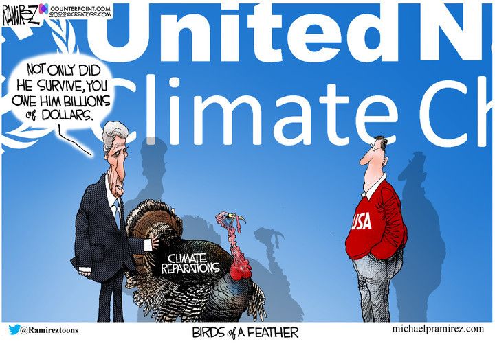 Cartoon 11/27/22 | Freedoms Journal Institute | Promoting a biblical ...