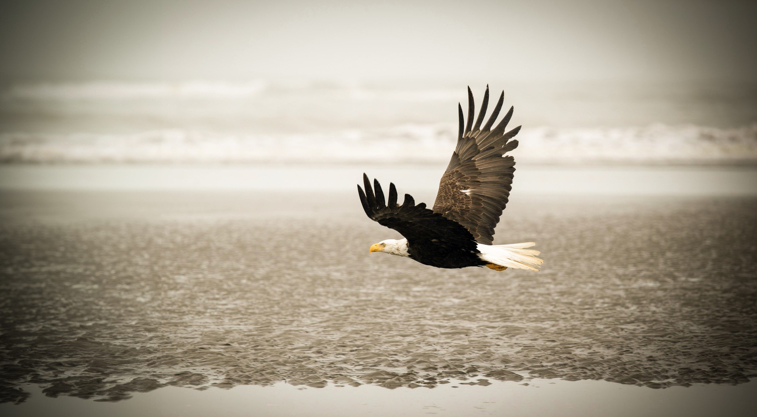 You Are in a Season of Transition | Sean Pinder Ministries
