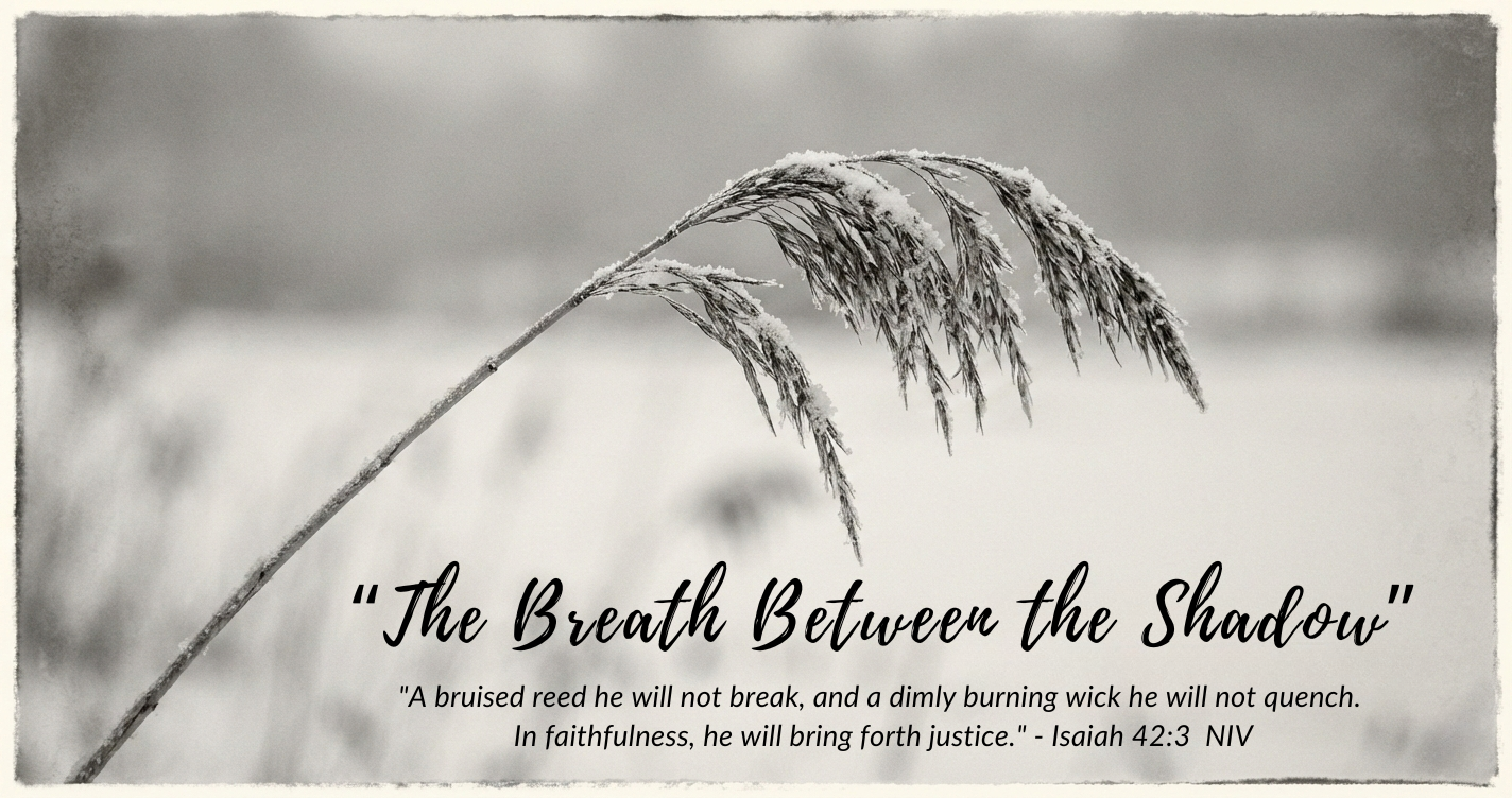 "The Breath Between the Shadows" - 01/10/2026 | Vincent United ...