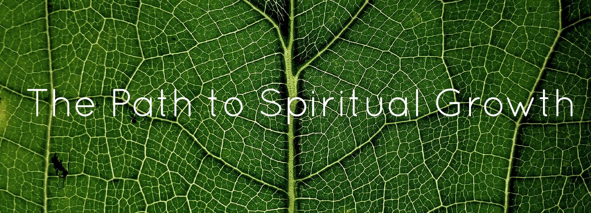 The Path to Spiritual Growth | St Mary's London