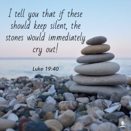 Don't Make the Stones Cry Out | Black Oak Heights Baptist Church