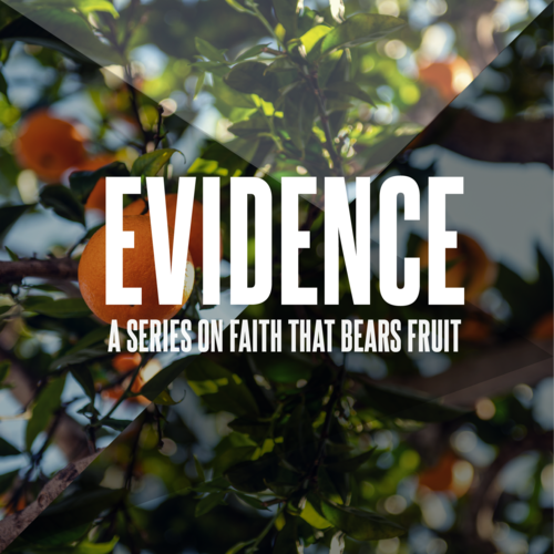 WHAT IS THE EVIDENCE OF FAITH? | White Rock United Methodist Church