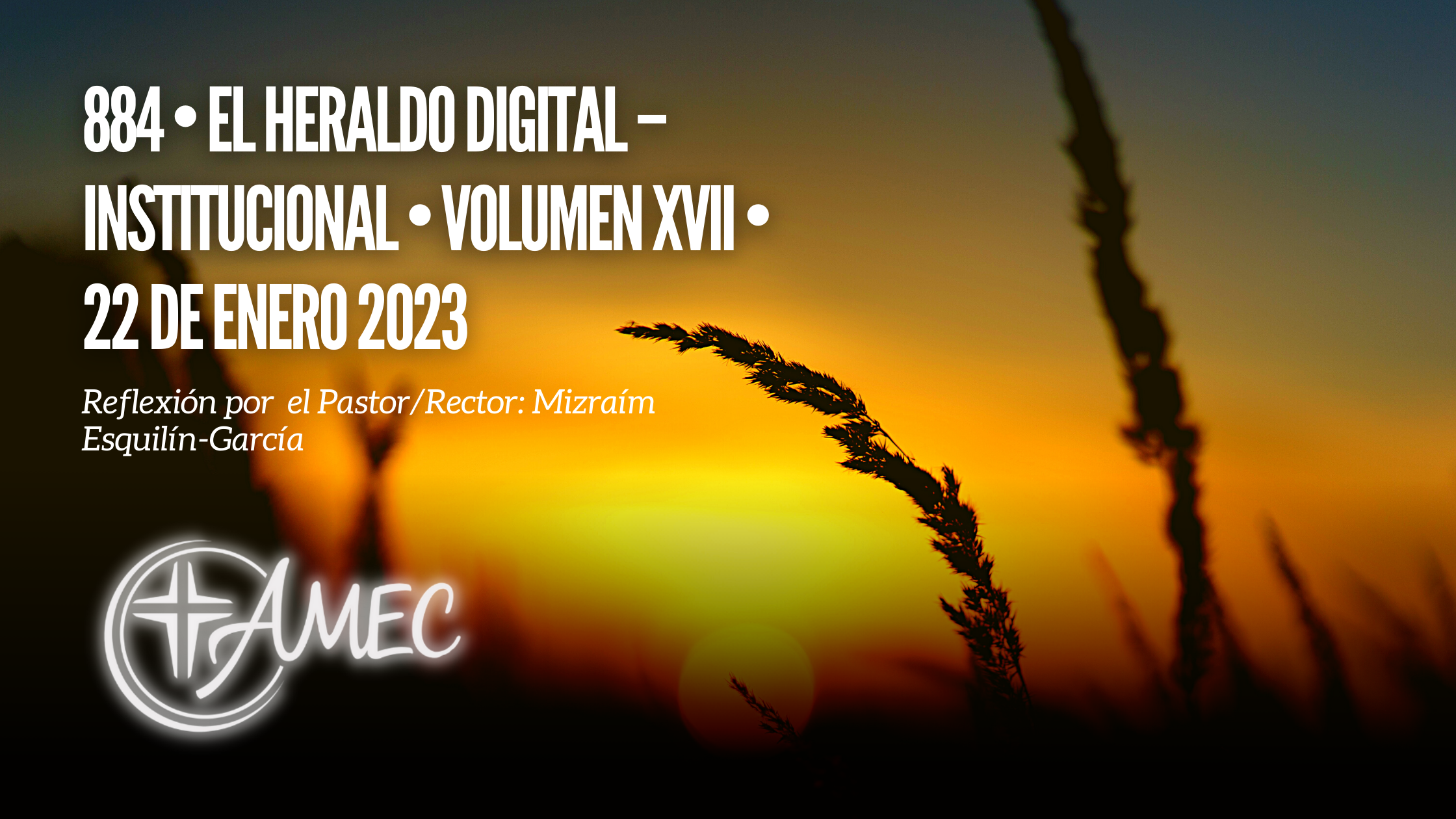 884 • El Heraldo Digital – Institucional • Volumen XVII • 22 de enero ...