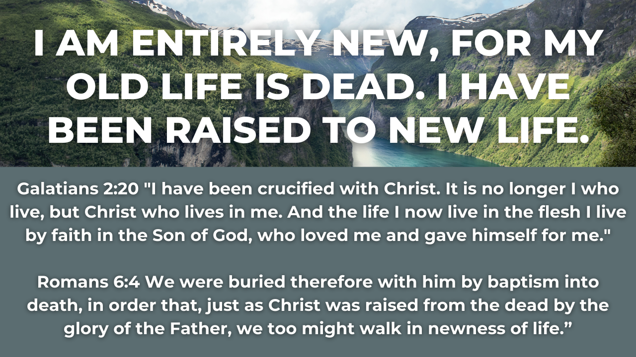30 Day Challenge Day 24: I Am Entirely New, For My Old Life Is Dead. I ...