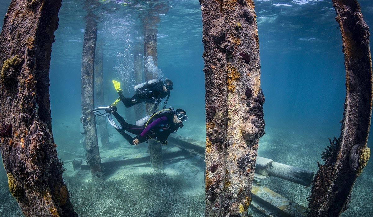 Decompression Illness | DAN Southern Africa