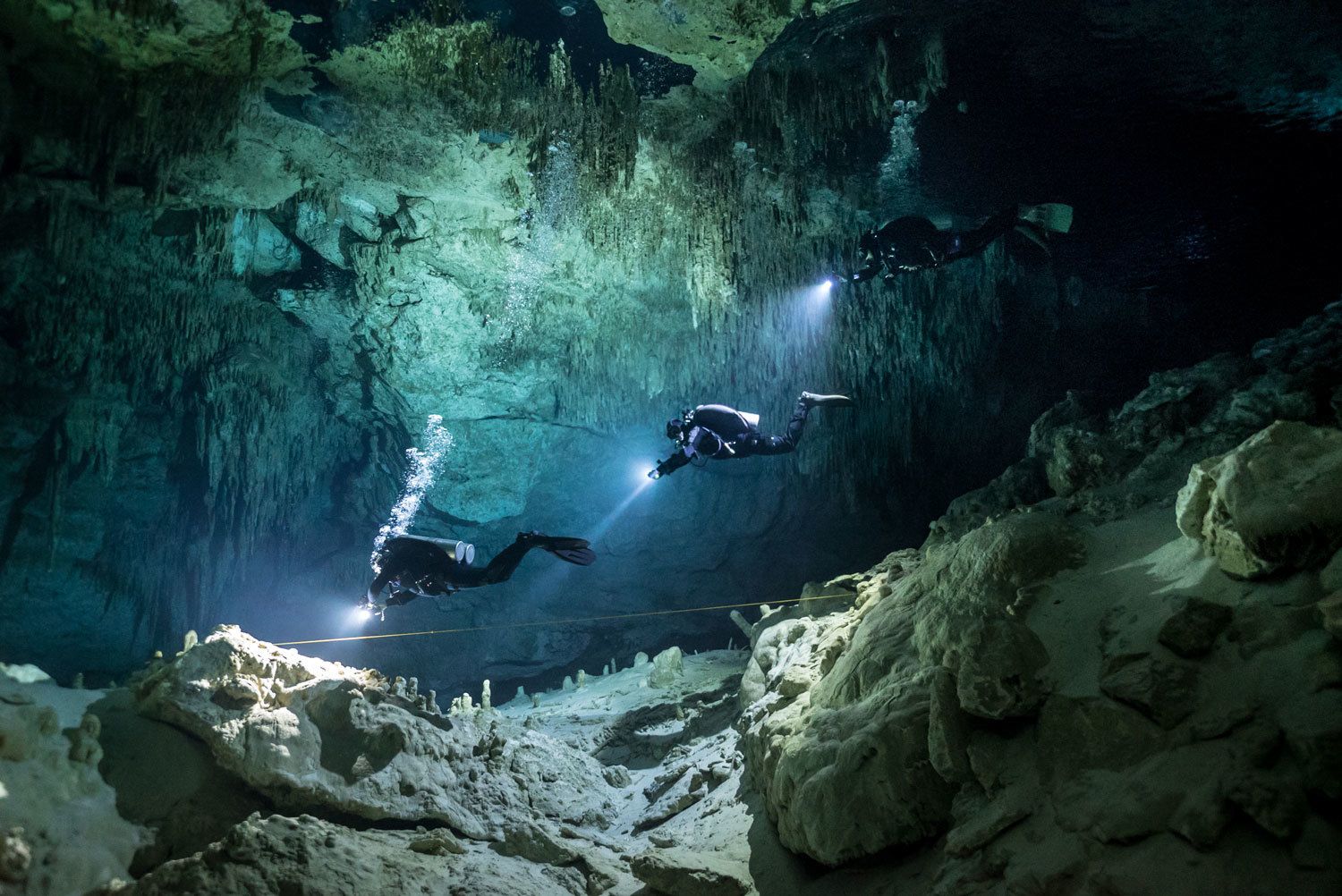 SAVE THE CENOTES | DAN Southern Africa