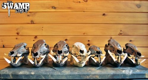 Team Swamp Stomp Gallery